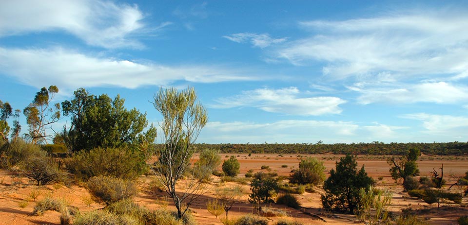 Great Victoria Desert and Nullarbor Expedition