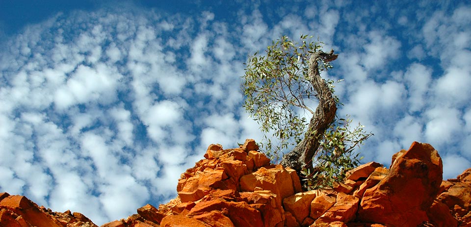 Great Victoria Desert and Nullarbor Expedition